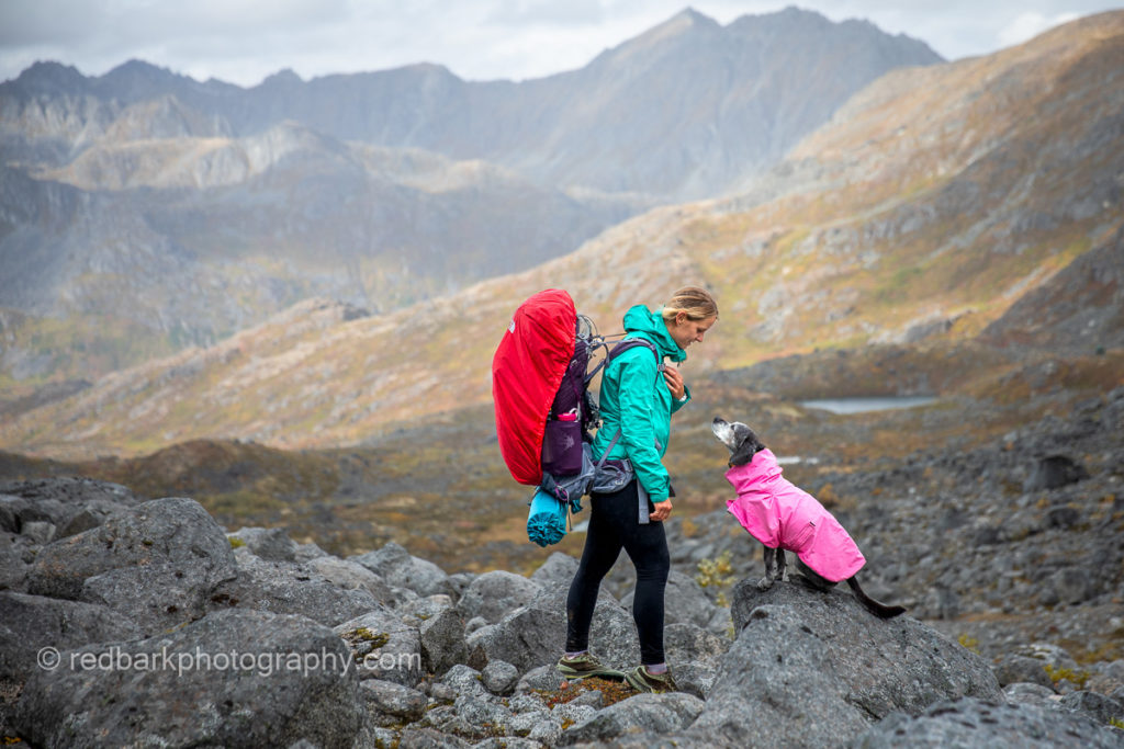 Alaska’s Mint-Bomber Traverse with Dogs (and a Snowstorm) » The Dog ...